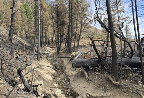 Rain On Wildfire Burn Scars Can Trigger Destructive Debris Flows − A