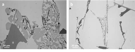 Figure 5 From Solidification Sequence And Four Phase Eutectic In