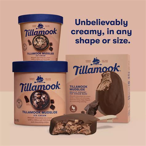 Tillamook Mudslide Ice Cream Bars Shop Bars And Pops At H E B