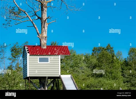 Tree Growing Through Roof Hi Res Stock Photography And Images Alamy