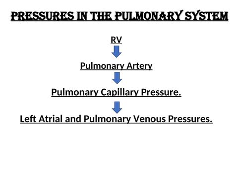 Pulmonarycirculation 1711160416power Point Presentationfor Thursday