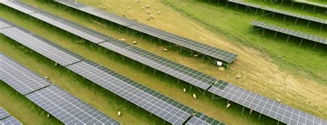 Neoen Dominates Cre Ppe2 Secures Full Ownership In 4 Pv Projects