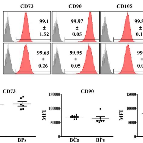 Positive Cell Surface Markers Of Bcs And Bps Positive Cell Surface