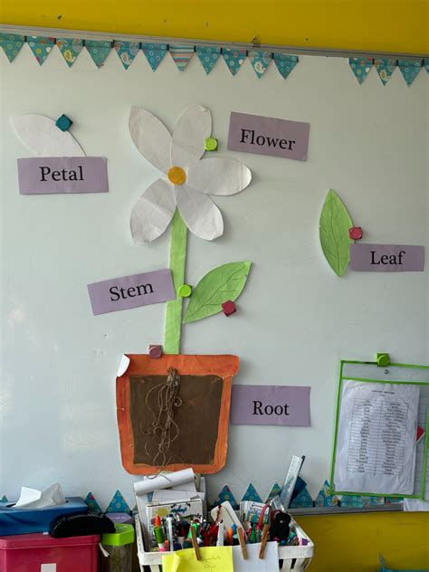 Laurens Class Planting Seeds