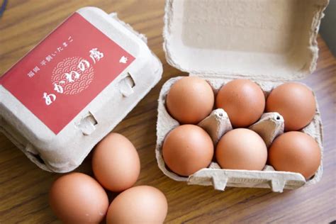 子どもに安心安全な卵を。27歳ママが開発したブランド平飼い卵「あかねの虜」 ｜ ガジェット通信 Getnews