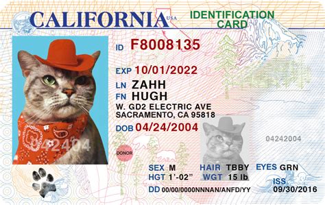 Id Policies — Amory Body Arts