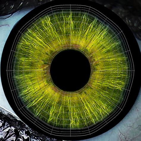 3d Cockroach Character Model Turbosquid 2168702