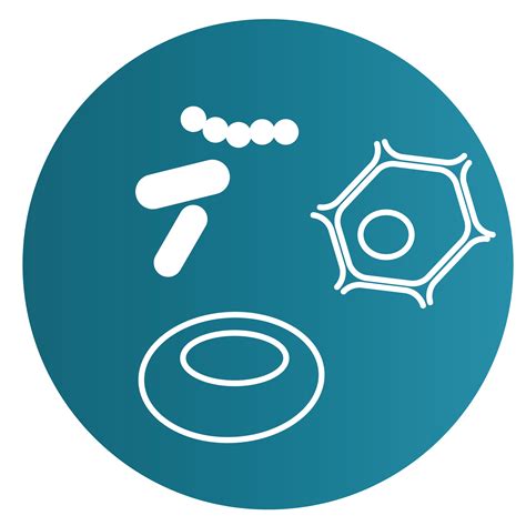 Ist For Robust Fast And Efficient Proteomics Sample Preparation