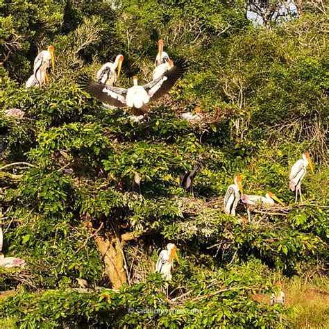 Sri Lanka National Parks Map And National Parks Near Sigiriya