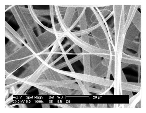 Sem Micrographs Showing The Effect Of Individual And Binary Solvent