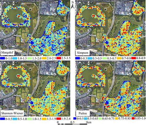 Tree Species Diversity Mapping With A Spatial Resolution Of 30 M In The Download Scientific