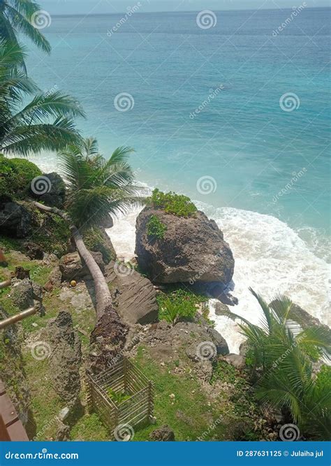Fallen Coconut Tree On The Beach Stock Image Image Of Cliff Blue 287631125