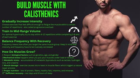 How To Build Muscle With Calisthenics Calisthenics Workouts And Equipment