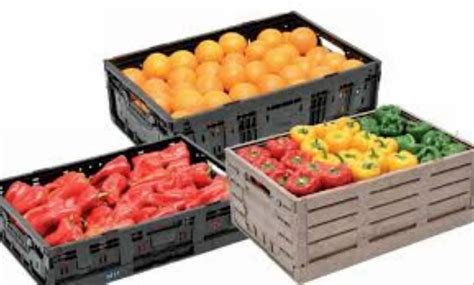 Fruits Plastic Crates At ₹ 90 Perforated Plastic Crates In New Delhi