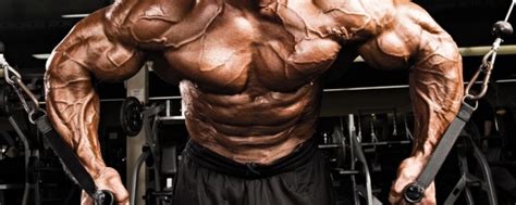 Тренировка за мускулна маса с приоритет на гърдите 4fitness Bg