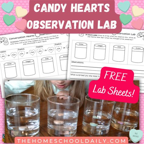 Candy Hearts Observation Lab The Homeschool Daily