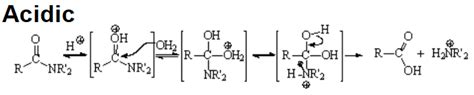 Reactivity Of Amides