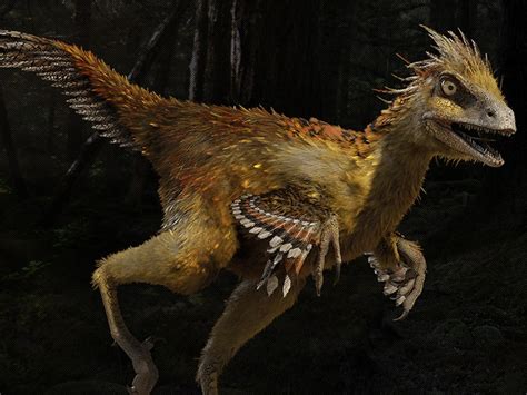 Hesperonychus Pictures And Facts The Dinosaur Database