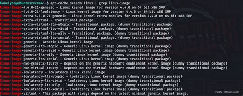 内网渗透之权限提升：linux权限提升漏洞复现 内网渗透之linux提权 csdn博客