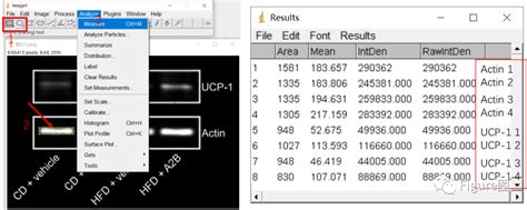 灰度数据转换成rgb565 跟cell子刊学图片的灰度分析 Image J和ps结果差距大吗？ Zhu Cyrus的博客 Csdn博客