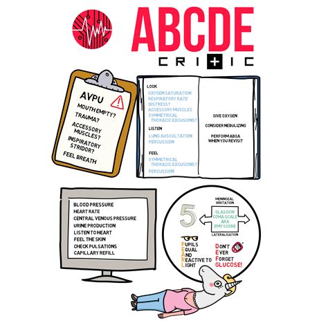 What Is The Abcde Approach At Gerald Murdock Blog