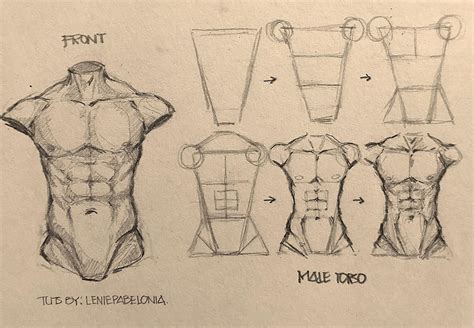 Ln3arts On Instagram Learn How “i” Draw Male Torso In Three Different