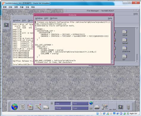 升级11 2 0 3到11 2 0 4你可能不知道的事情 oracleblog