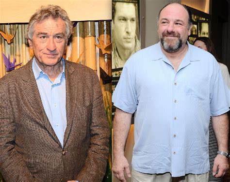 Robert De Niro Takes Over James Gandolfinis Criminal Justice Role