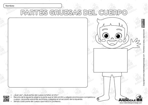Fichas De Trabajo Partes Del Cuerpo Para Niños De 2 Años Material