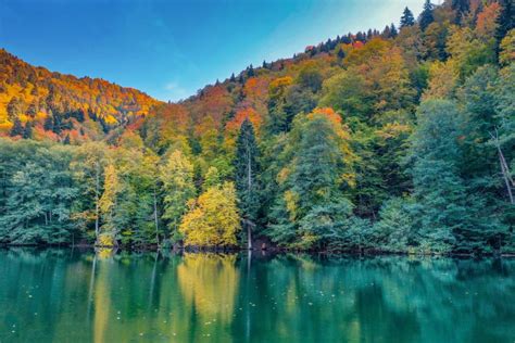 ძამას ხეობა Georgian Travel Guide