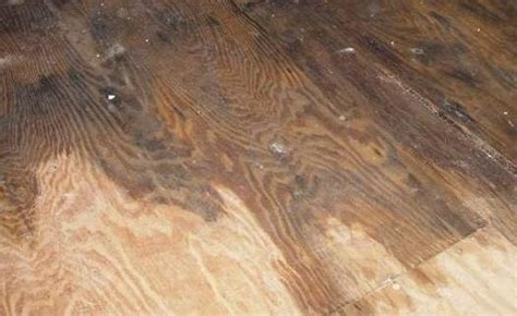 木地板被水泡后怎么办？教你4个紧急处理小妙招，快速解决问题 地板 木地板 水泡 新浪新闻