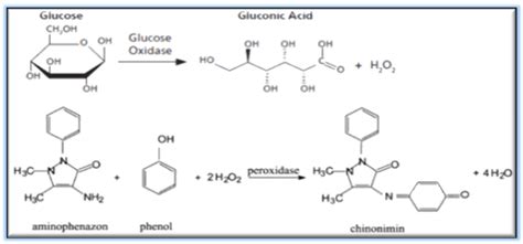 Reactions Catalyzes By Glucose Oxidase And Peroxidase Download