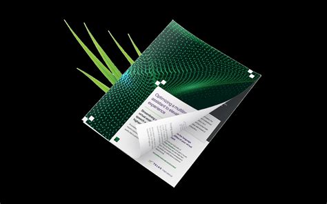 Optimizing A Multilingual Virtual Telus Digital