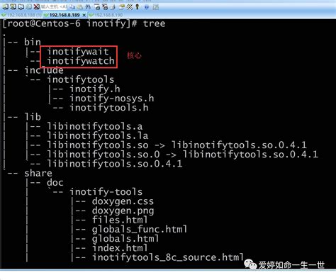 linux系统inotify的原理和实时监控脚本编写 墨天轮
