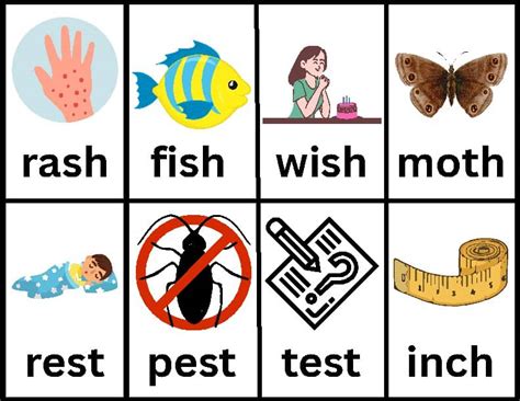 Cvcc Words And Pictures By Shannon Jones Tpt