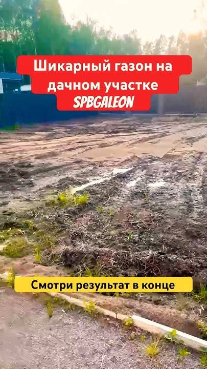 ИДЕАЛЬНАЯ ПЛАНИРОВКА ДАЧНОГО УЧАСТКА Shorts стройка дача участок дом сад газон