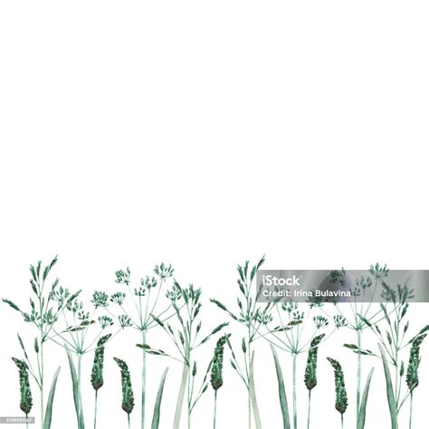 야생과 마른 풀이 있는 수채화 그림입니다 수평 이음새가 없는 테두리 자연의 상록수 잔디밭 봄철의 초원 벽지 카드 테두리 배너 장식 내추럴 그린 톤 가을에 대한 스톡 벡터