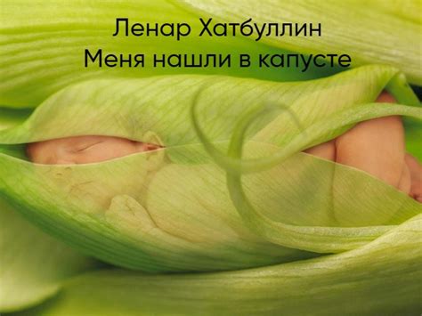Меня нашли в капусте - Хатбуллин Ленар Гиниятович - читать книгу в ...