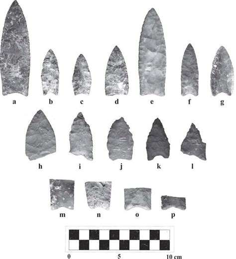 4 Clovis Points From Locus 1 Upper Row And Camp Area Download Scientific Diagram