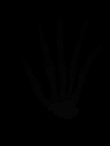 Projectdetectionos Object Detection Dataset And Pre Trained Model By Workspace