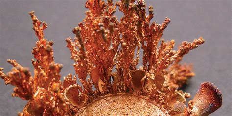 Growing Copper And Silver Crystals For Art Hackaday