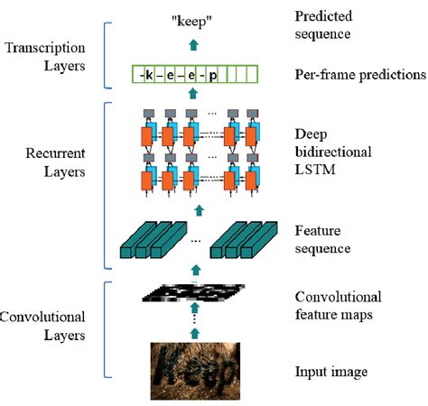 The Architecture Of Crnn 1 Convolutional Layers Extracting Feature Download Scientific
