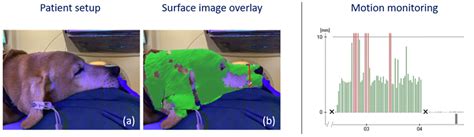 How Does C Rad Catalyst Hd Enable Research Into Flash Radiotherapy C Rad
