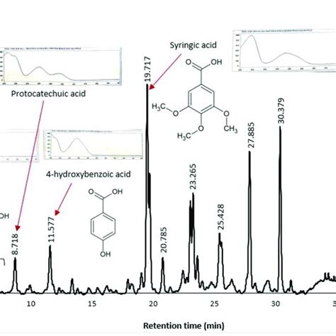 Hplc Gradient Elution Profile Download Scientific Diagram