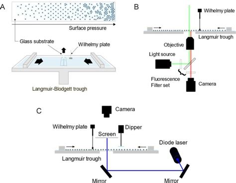 Schematic Illustration Of A The Transfer Of A Colloidal Monolayer To A