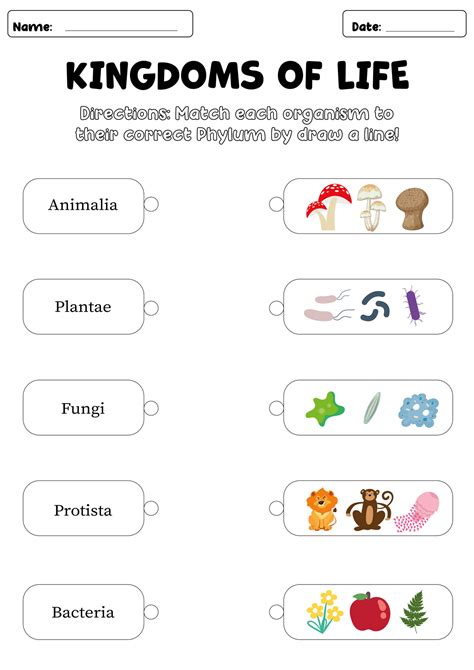 Classification Of Living Things And Kingdoms Of Organisms Worksheet