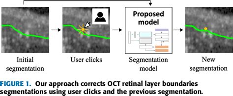 figure 1 from interactive deep learning based retinal oct layer