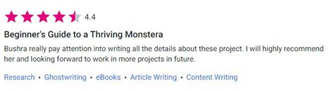Bushra Zia On Linkedin Seocontentwriter Freelancewriter