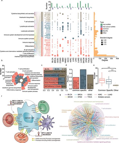 Conserved And Rewired Licn Hubs Could Regulate Tumor Immune Cell
