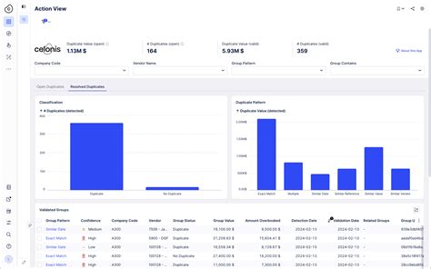 User Guide For The Case Centric Duplicate Invoice Checker